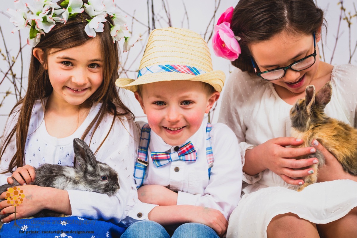 bunny session – allison – Flom Designs and Photography