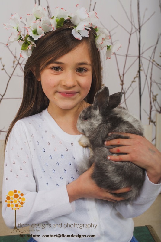 bunny session – allison – Flom Designs and Photography