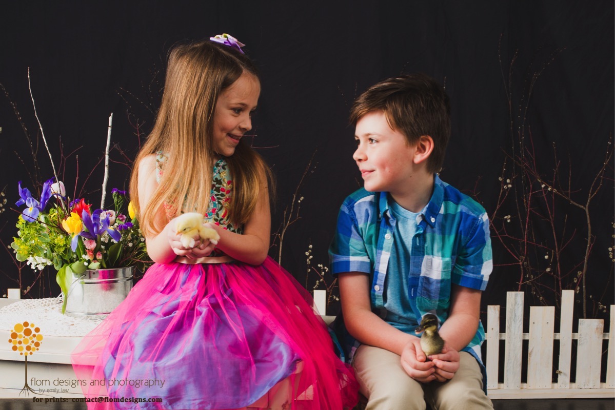 chick and duck – stacey – Flom Designs and Photography