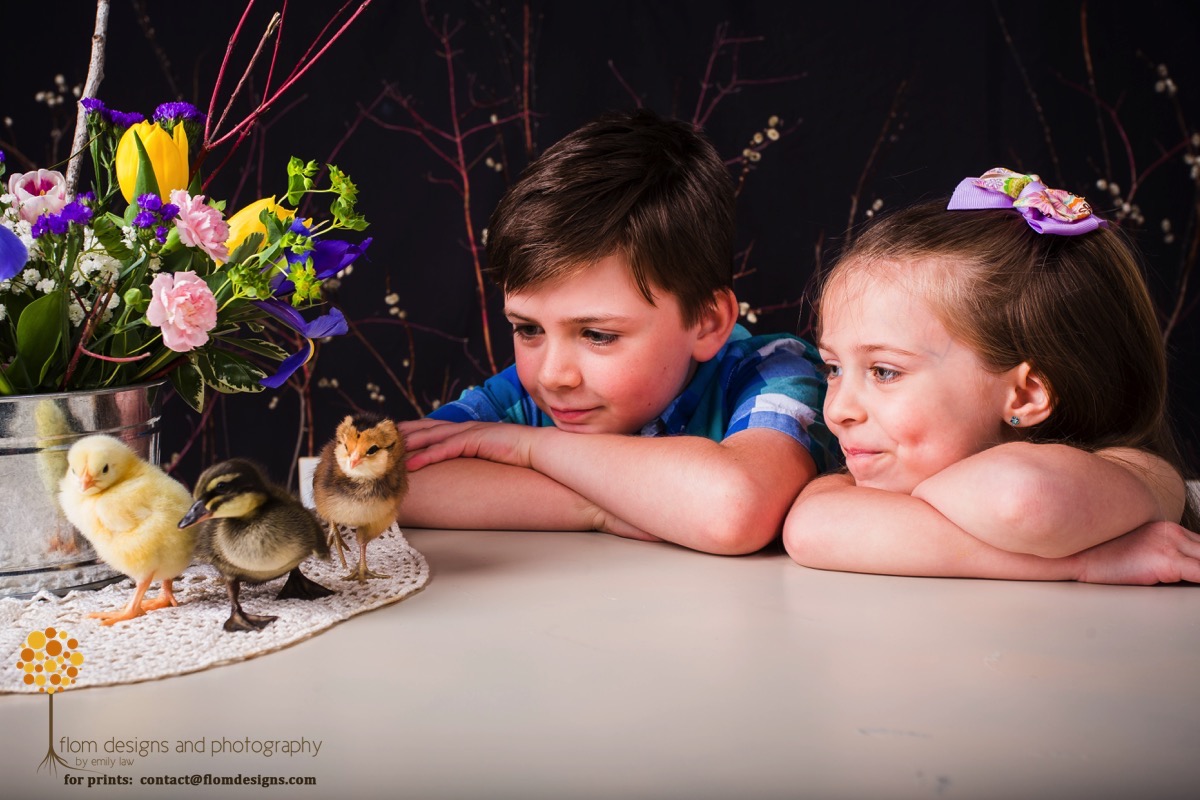 chick and duck – stacey – Flom Designs and Photography