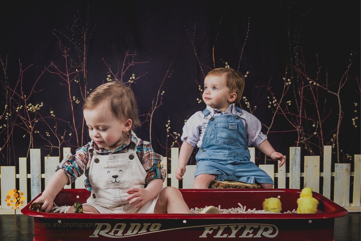duck and chick – twins – Flom Designs and Photography