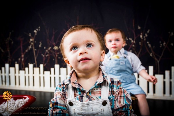 duck and chick – twins – Flom Designs and Photography