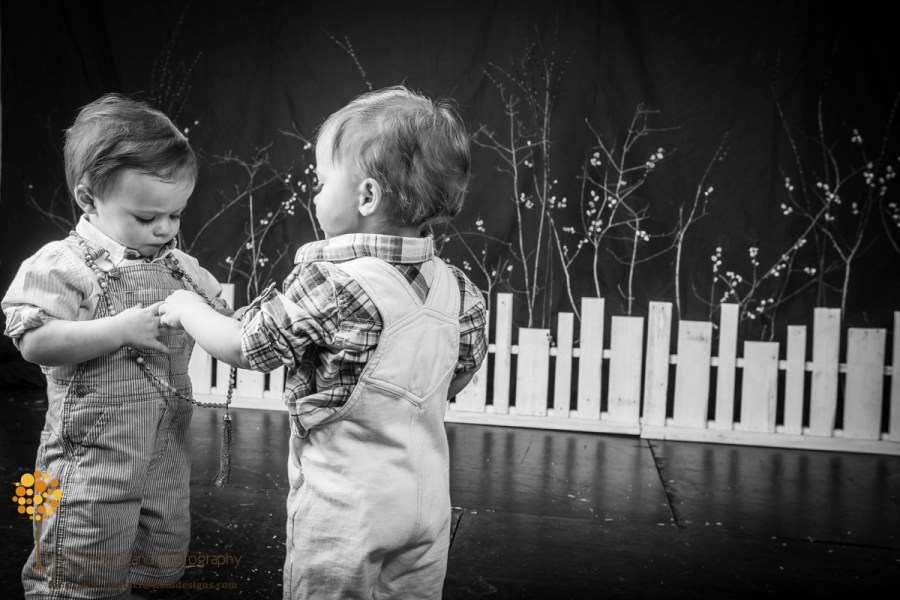 duck and chick – twins – Flom Designs and Photography