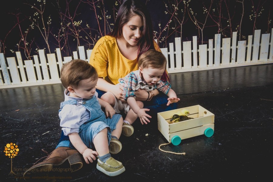 duck and chick – twins – Flom Designs and Photography