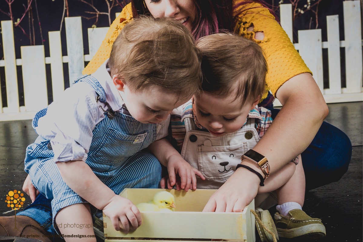 duck and chick – twins – Flom Designs and Photography